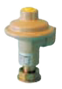 WMR - Actaris Metering System